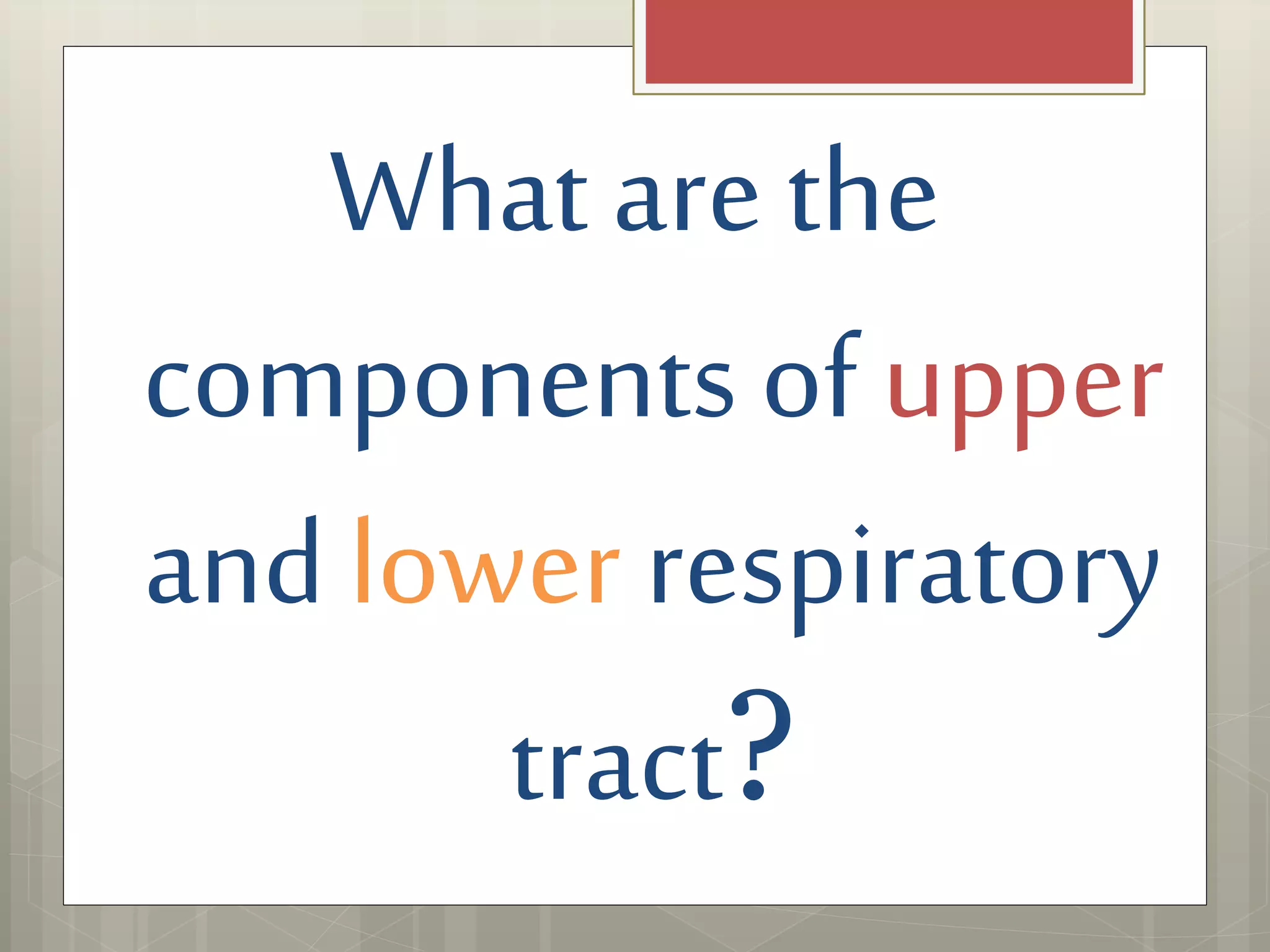 Grade 9 - Respiratory system | PPTX