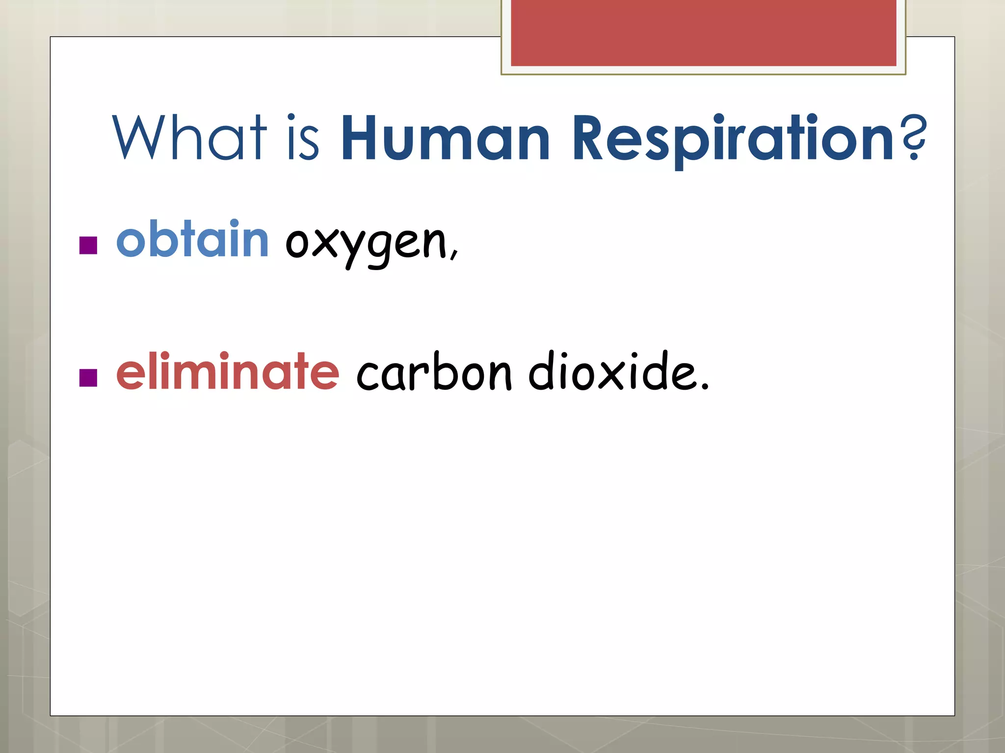 Grade 9 - Respiratory system | PPTX
