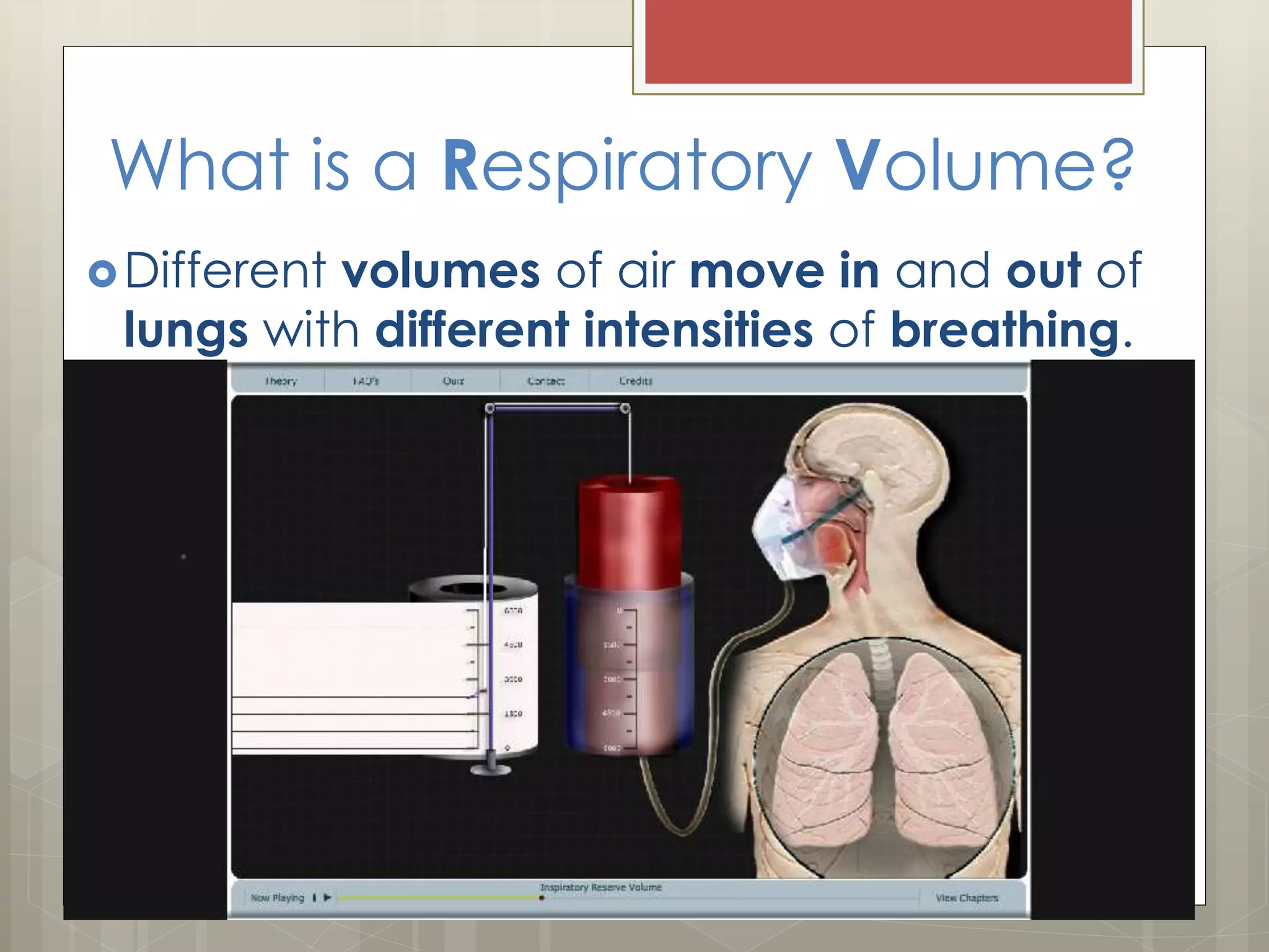 Grade 9 - Respiratory system | PPTX