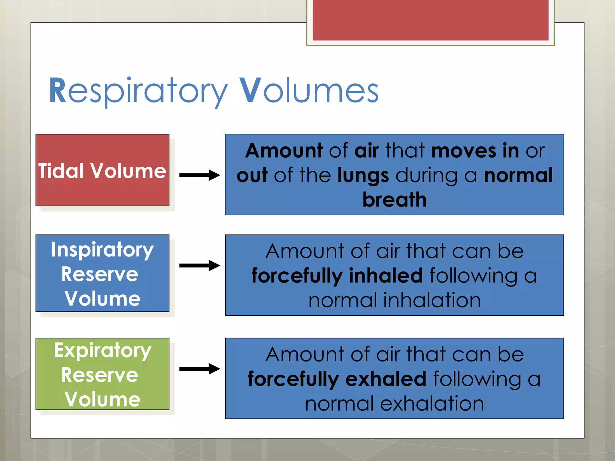 Grade 9 - Respiratory system | PPTX