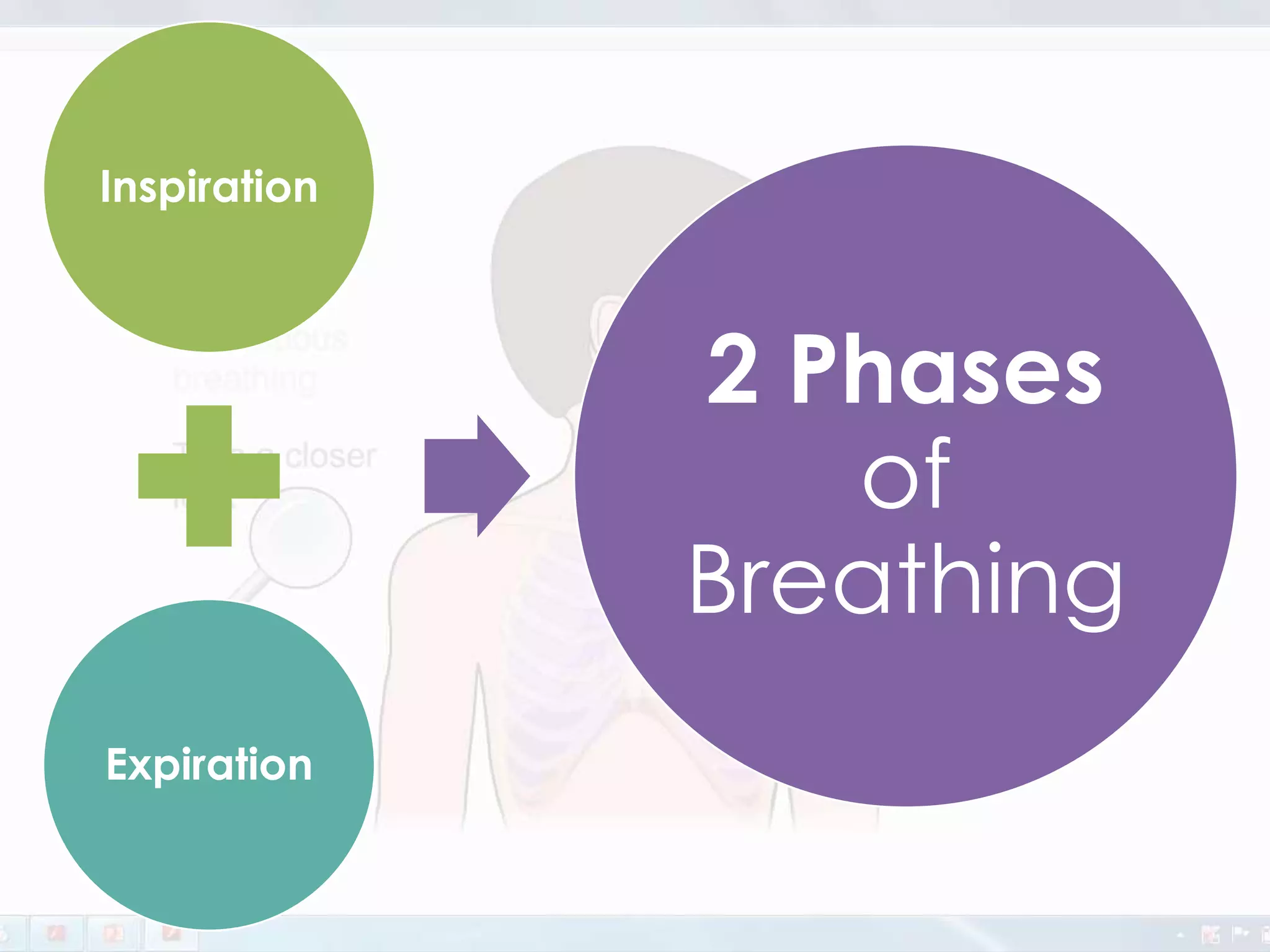 Grade 9 - Respiratory system | PPTX