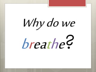 Grade 9 - Respiratory system | PPTX