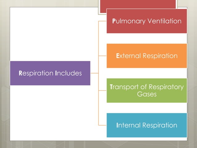Grade 9 - Respiratory system | PPTX | Lung and Respiratory Health ...