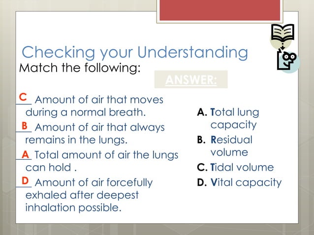 Grade 9 - Respiratory system | PPTX | Lung and Respiratory Health ...