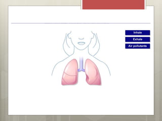 Grade 9 - Respiratory system | PPTX
