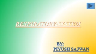 Respiratory system | PPT