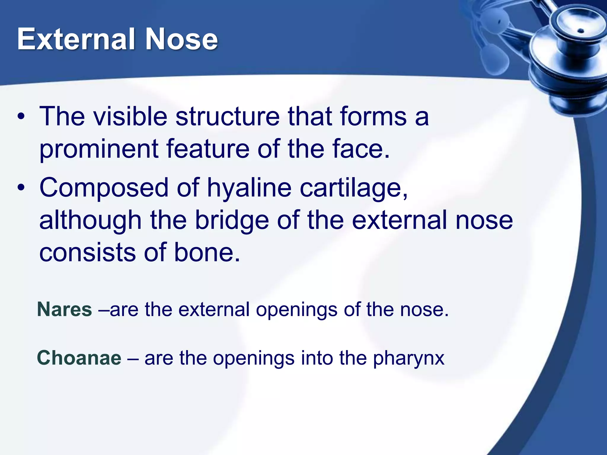 Respiratory System | PPTX