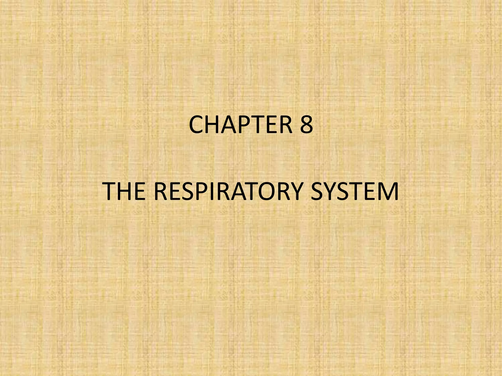 Respiratory system | PPTX