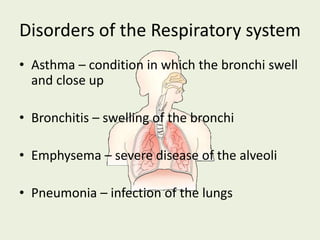 Respiratory system | PPTX