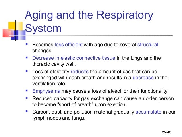 Respiratory system