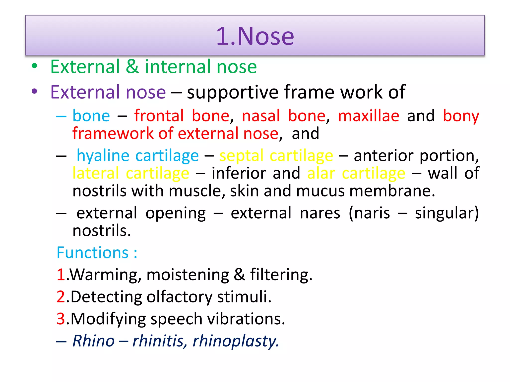 Respiratory system | PPTX