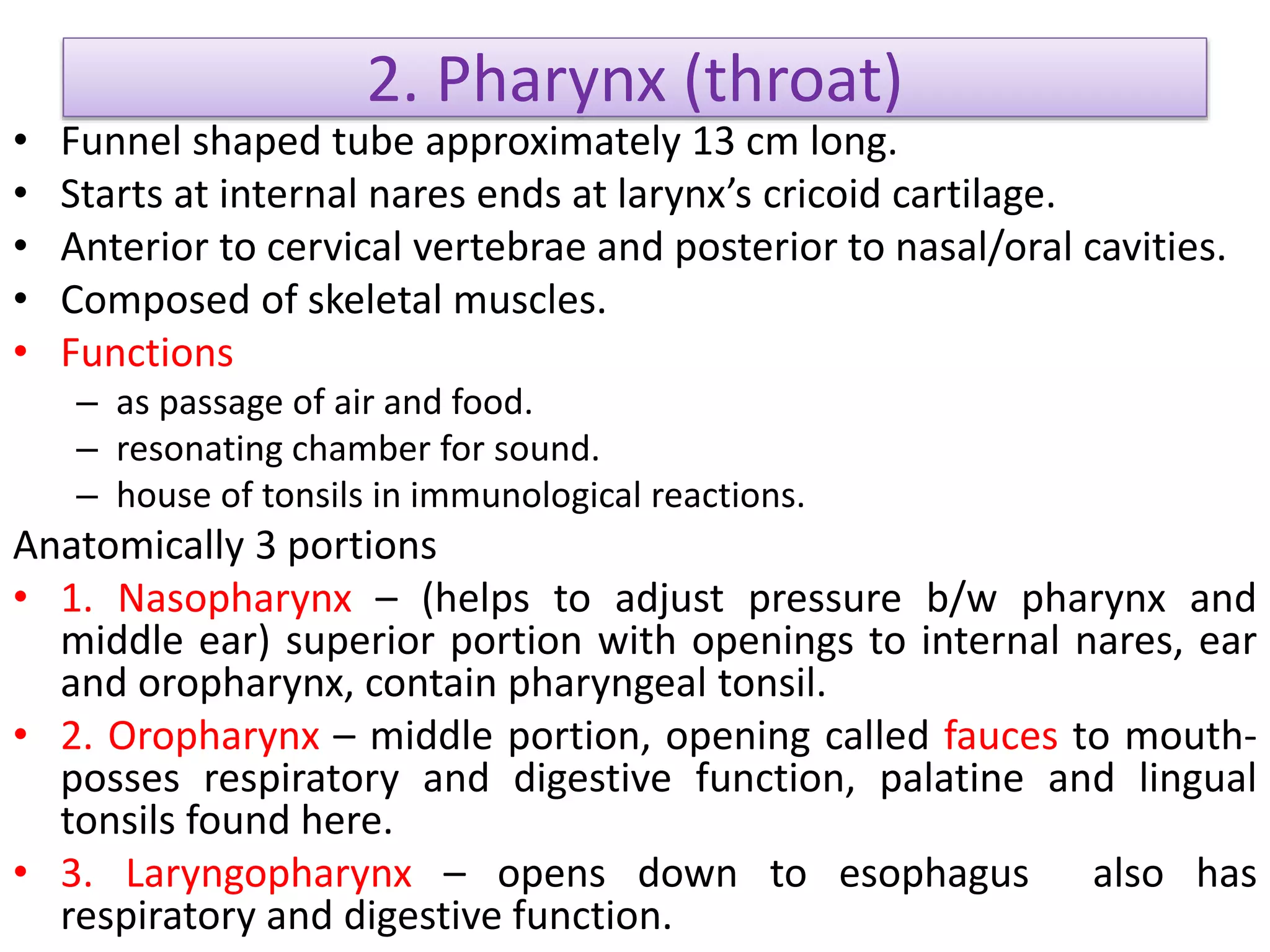 Respiratory system | PPTX