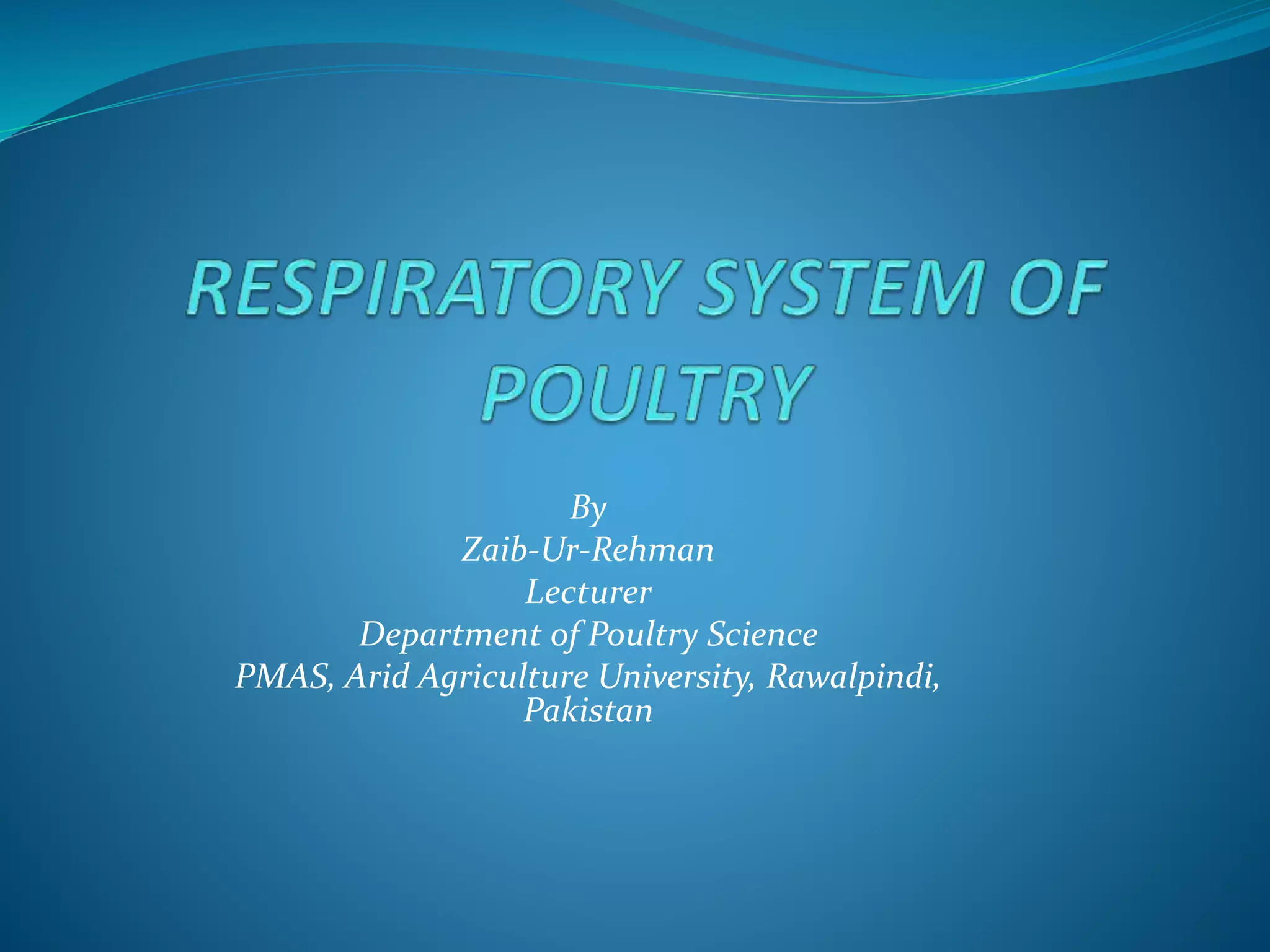 Respiratory system of poultry | PPTX