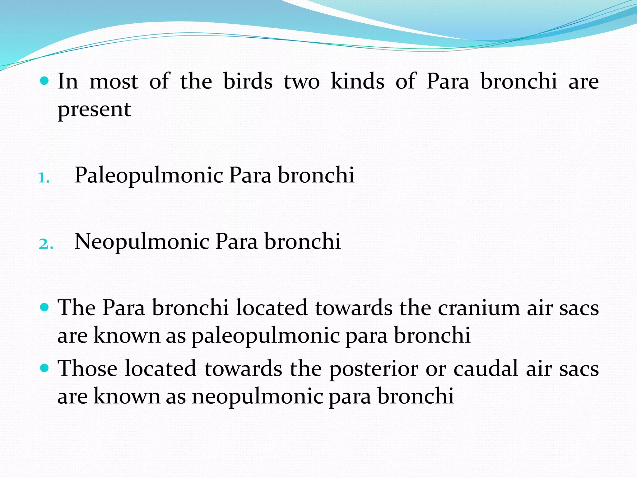 Respiratory system of poultry | PPTX