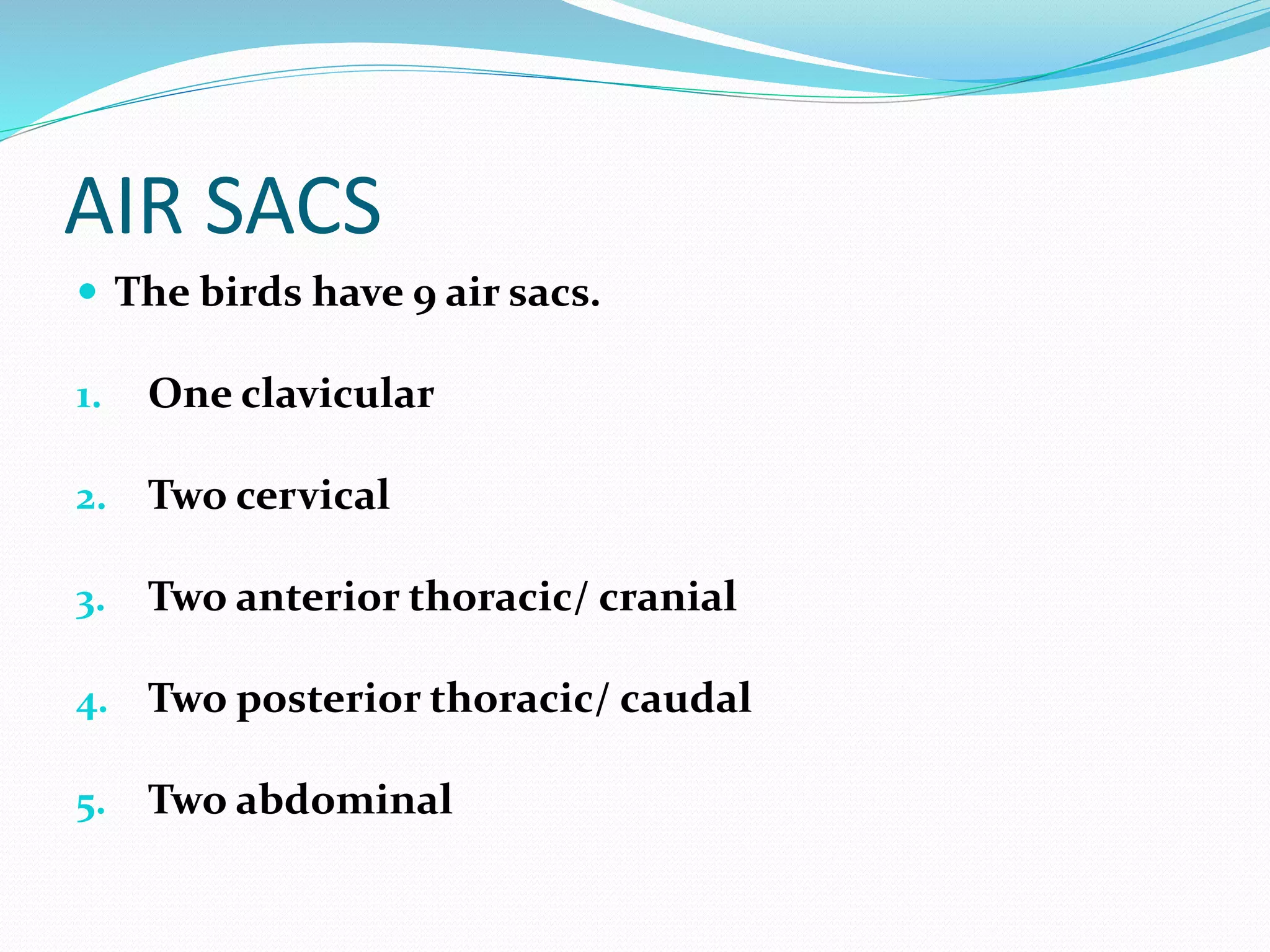 Respiratory system of poultry | PPTX