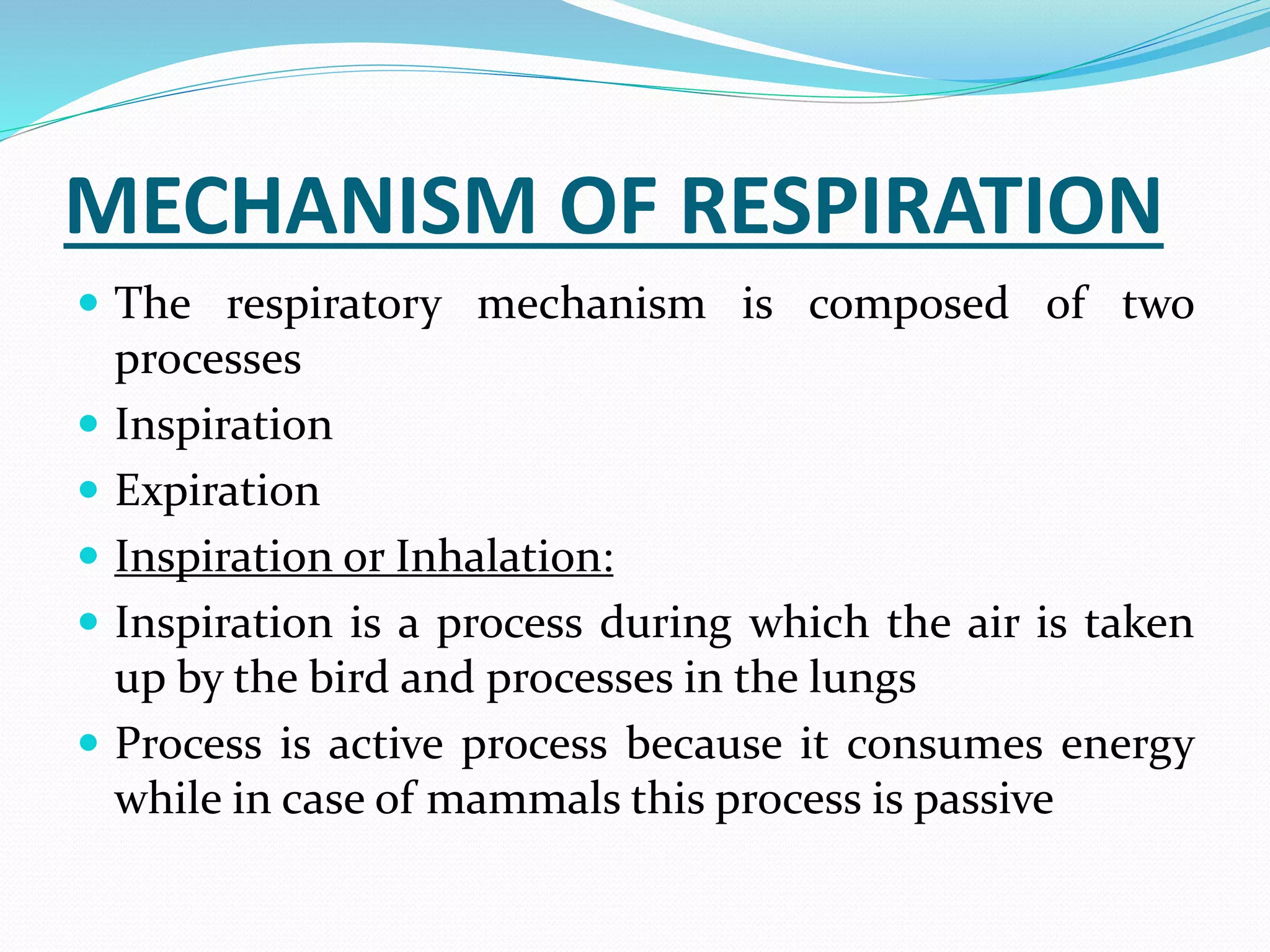 Respiratory system of poultry | PPTX