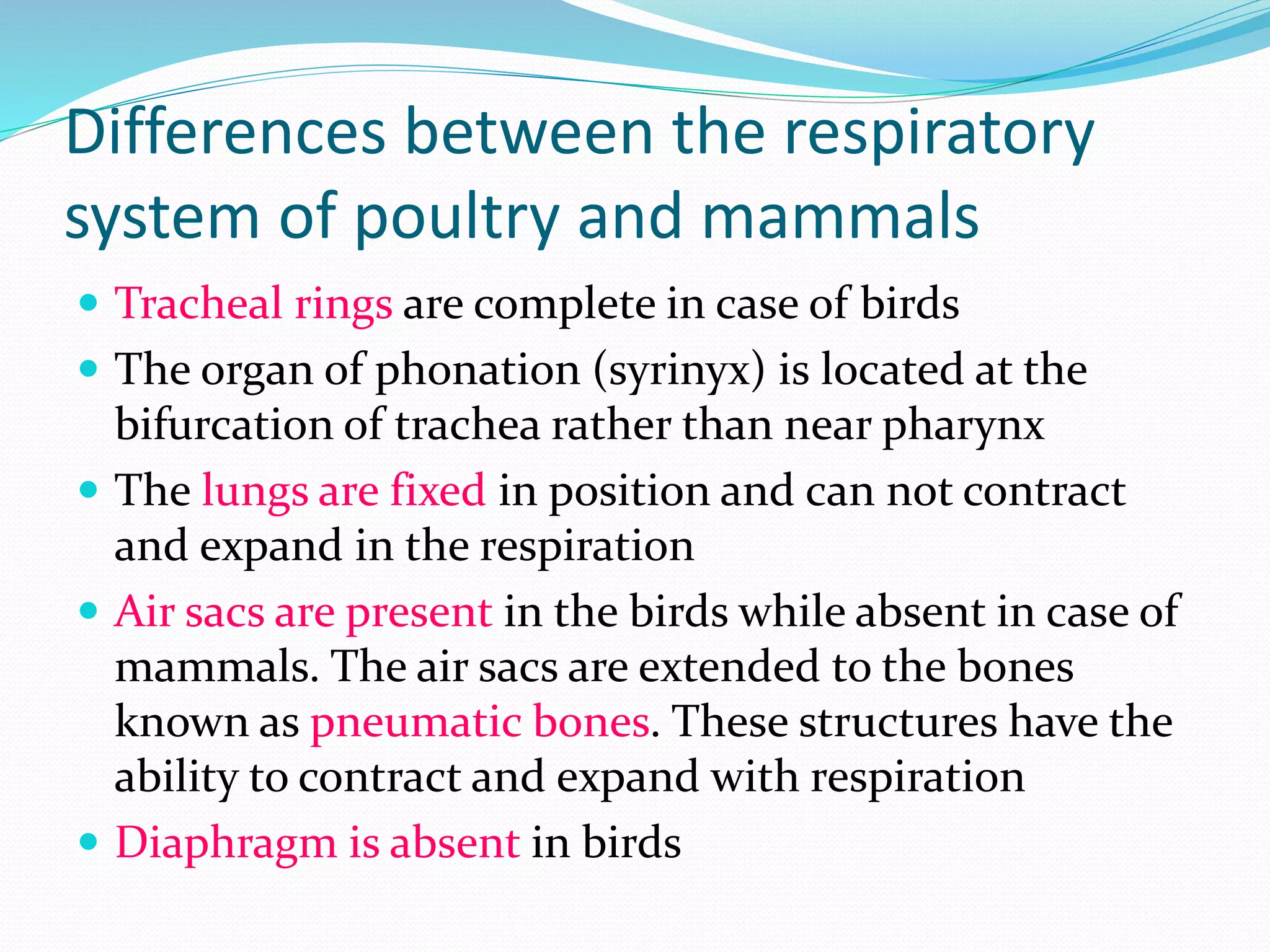 Respiratory system of poultry | PPTX