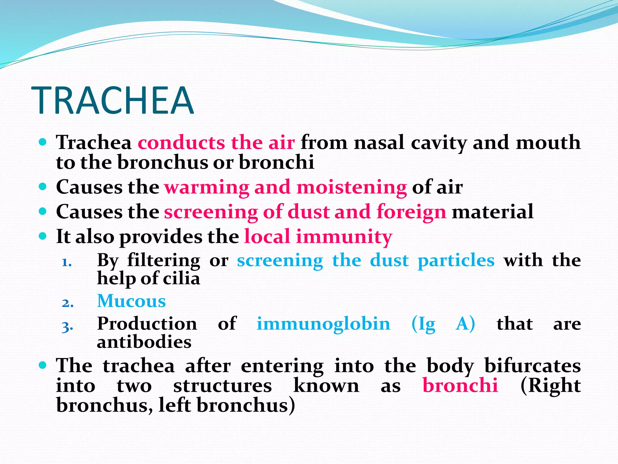 Respiratory system of poultry | PPTX