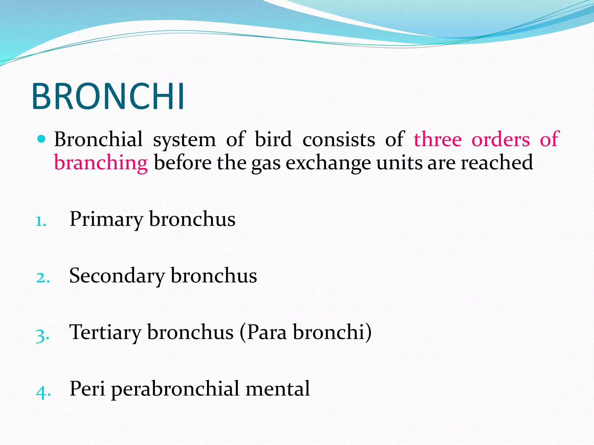 Respiratory system of poultry | PPTX