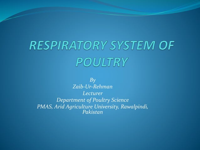 Respiratory system of poultry | PPTX | Lung and Respiratory Health ...