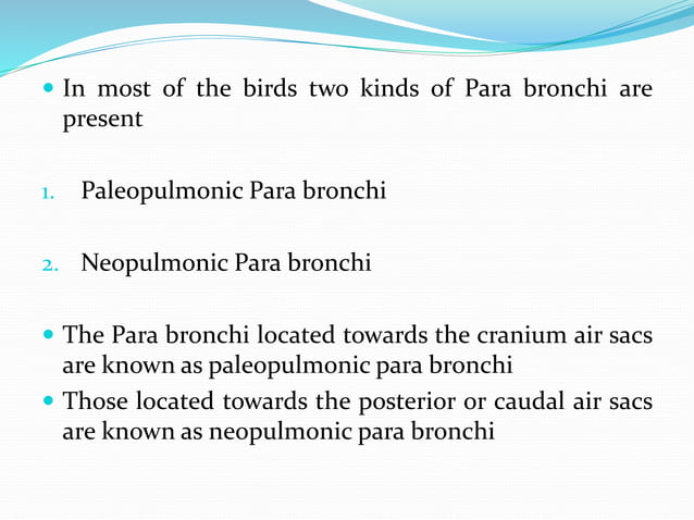 Respiratory system of poultry | PPTX | Lung and Respiratory Health ...