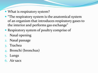 Respiratory system of poultry | PPTX