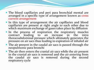 Respiratory system of poultry | PPTX