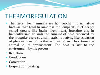 Respiratory system of poultry | PPTX