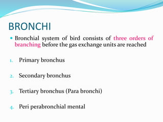 Respiratory system of poultry | PPTX