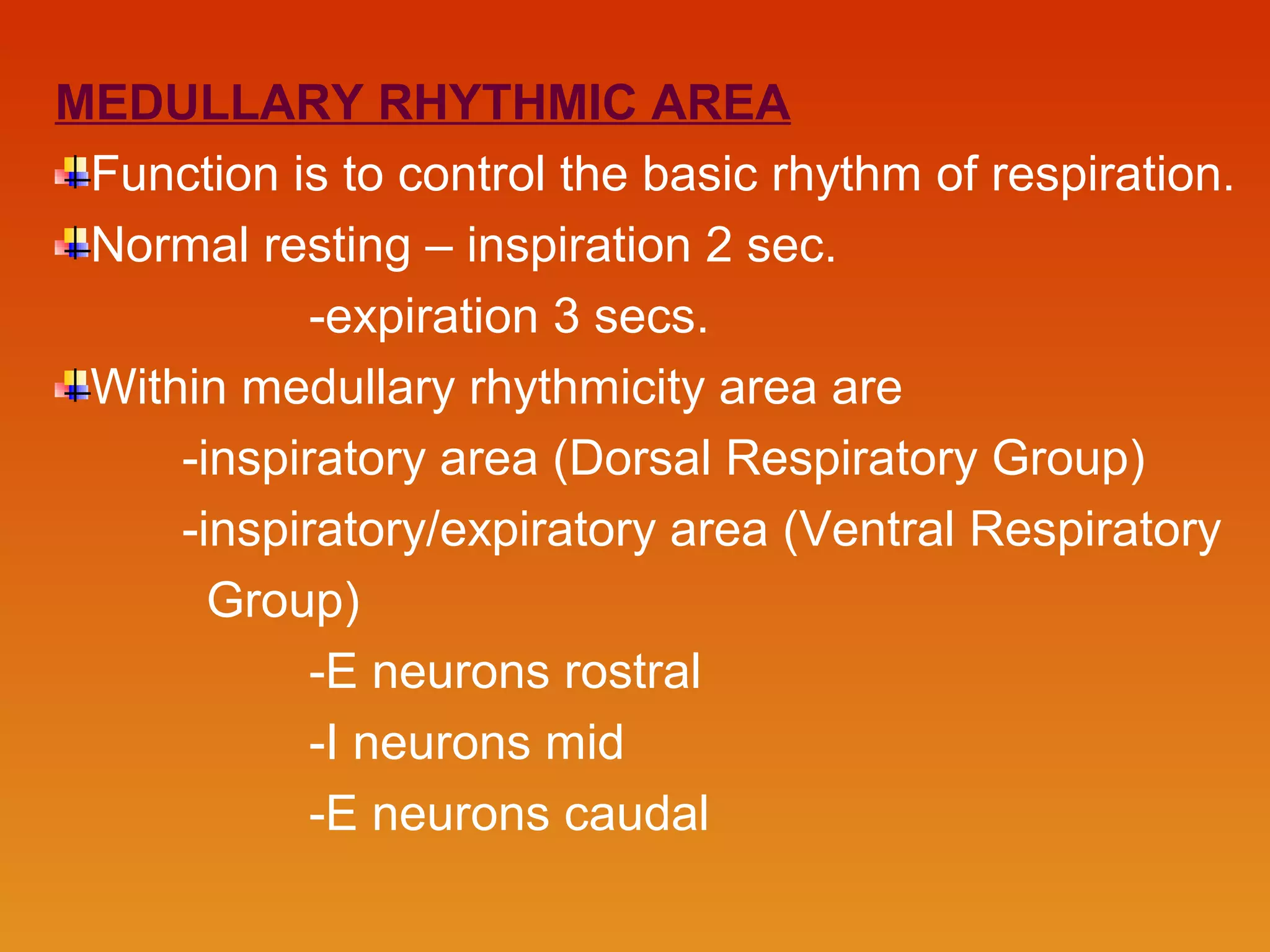 Respiratory system | PPT