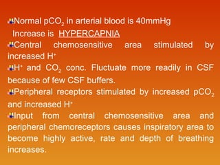 Respiratory system | PPT