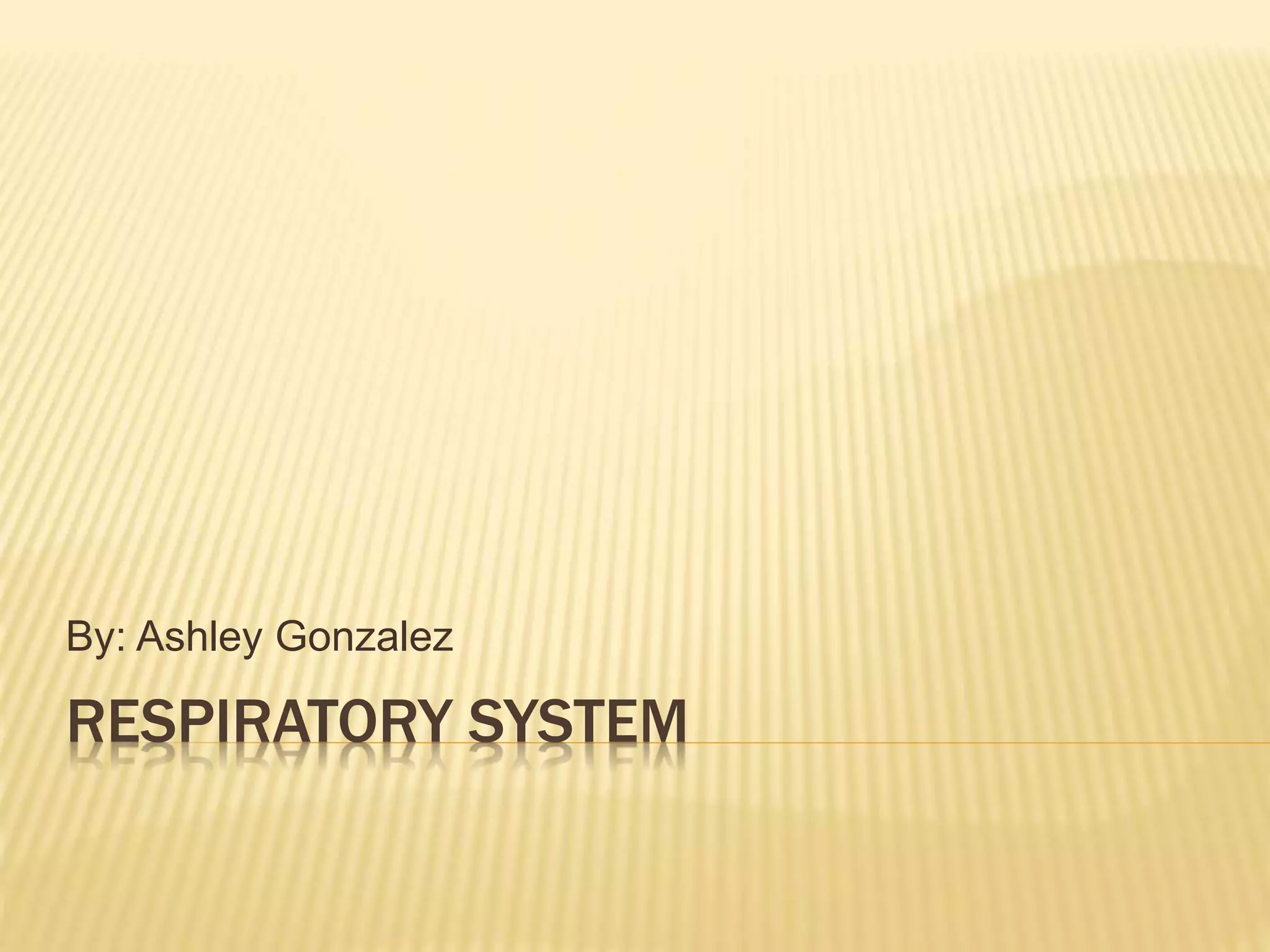 Respiratory system | PPT