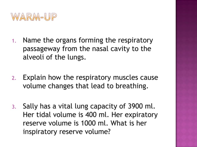 Anatomy & Physiology Lecture Notes - Respiratory system | PPT