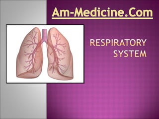 Anatomy & Physiology Lecture Notes - Respiratory system | PPT