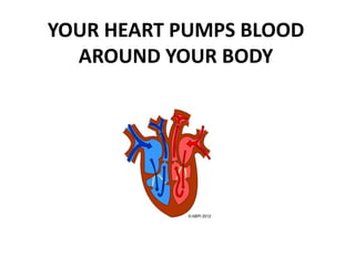 Respiratory system | PPT