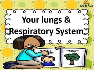 Respiratory system | PPT