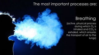 Respiratory system | PPTX