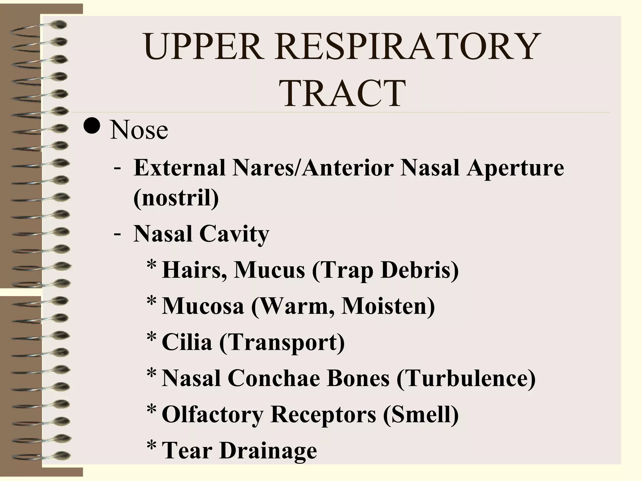 Respiratory system | PPT