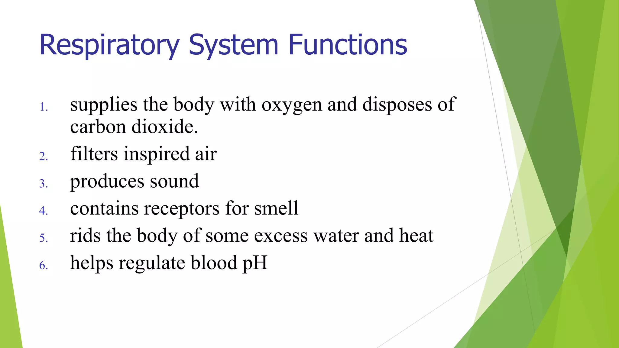 respiratorysystem-160403131800.pdf