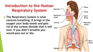 respiratorysystem-160403131800.pdf