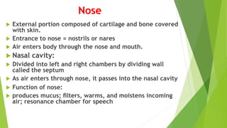 respiratorysystem-160403131800.pdf