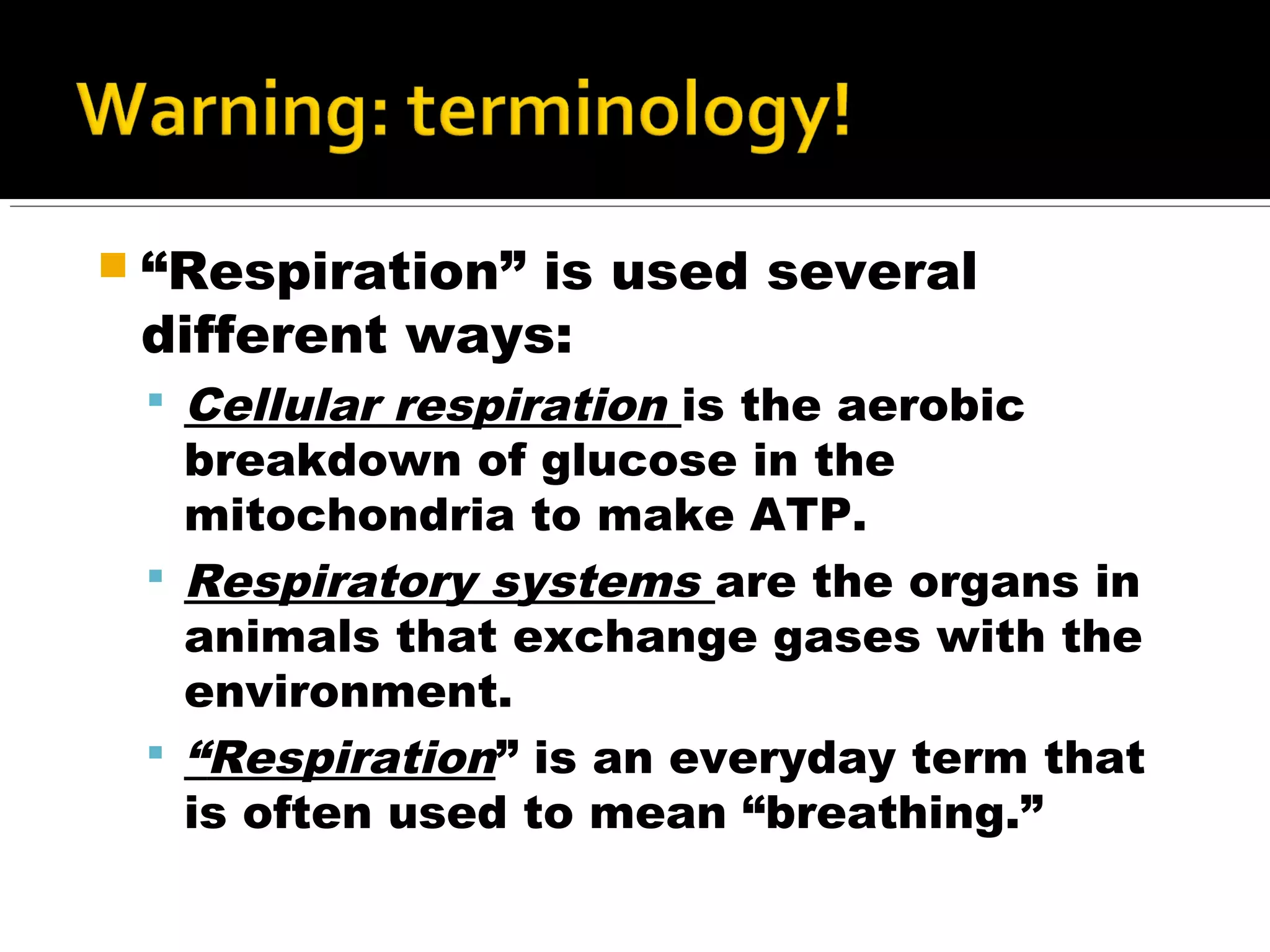 Respiratorysystem | PPT | Ear, Nose and Throat Conditions | Diseases ...
