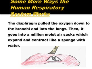 Respiratorysystem | PPT | Ear, Nose and Throat Conditions | Diseases ...