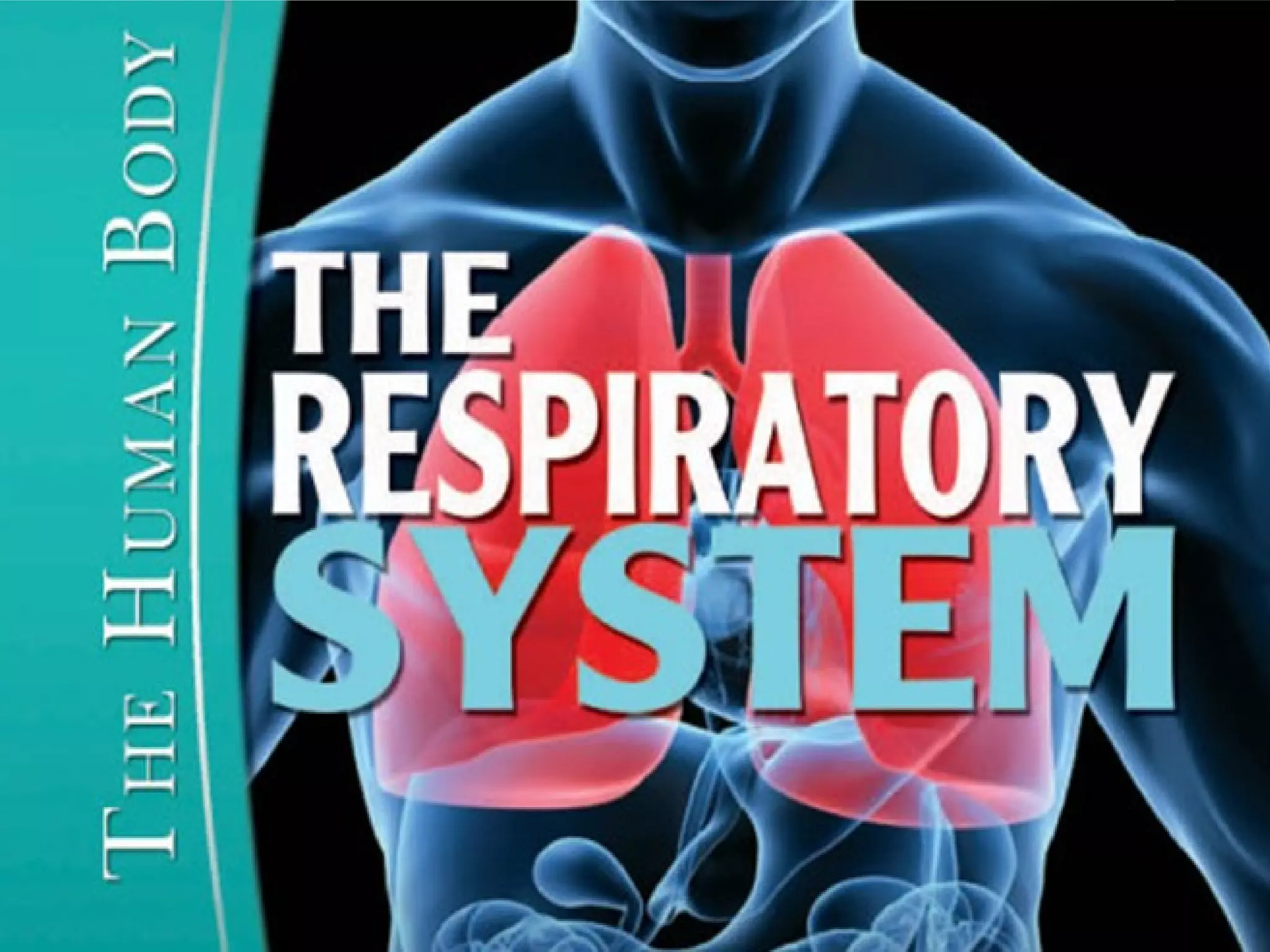 Respiratory System | PPT