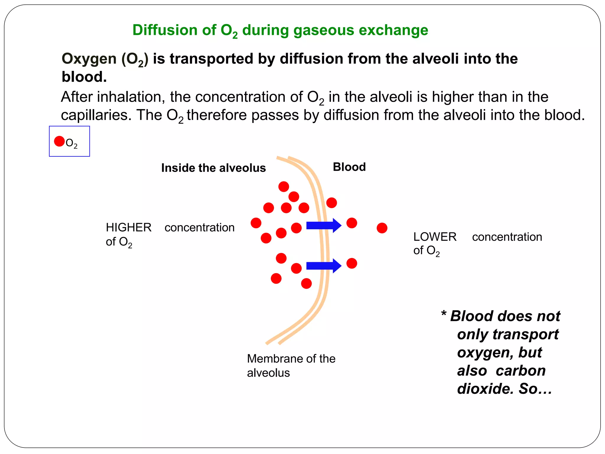 Nutrition function I: The respiratory system. | PPTX