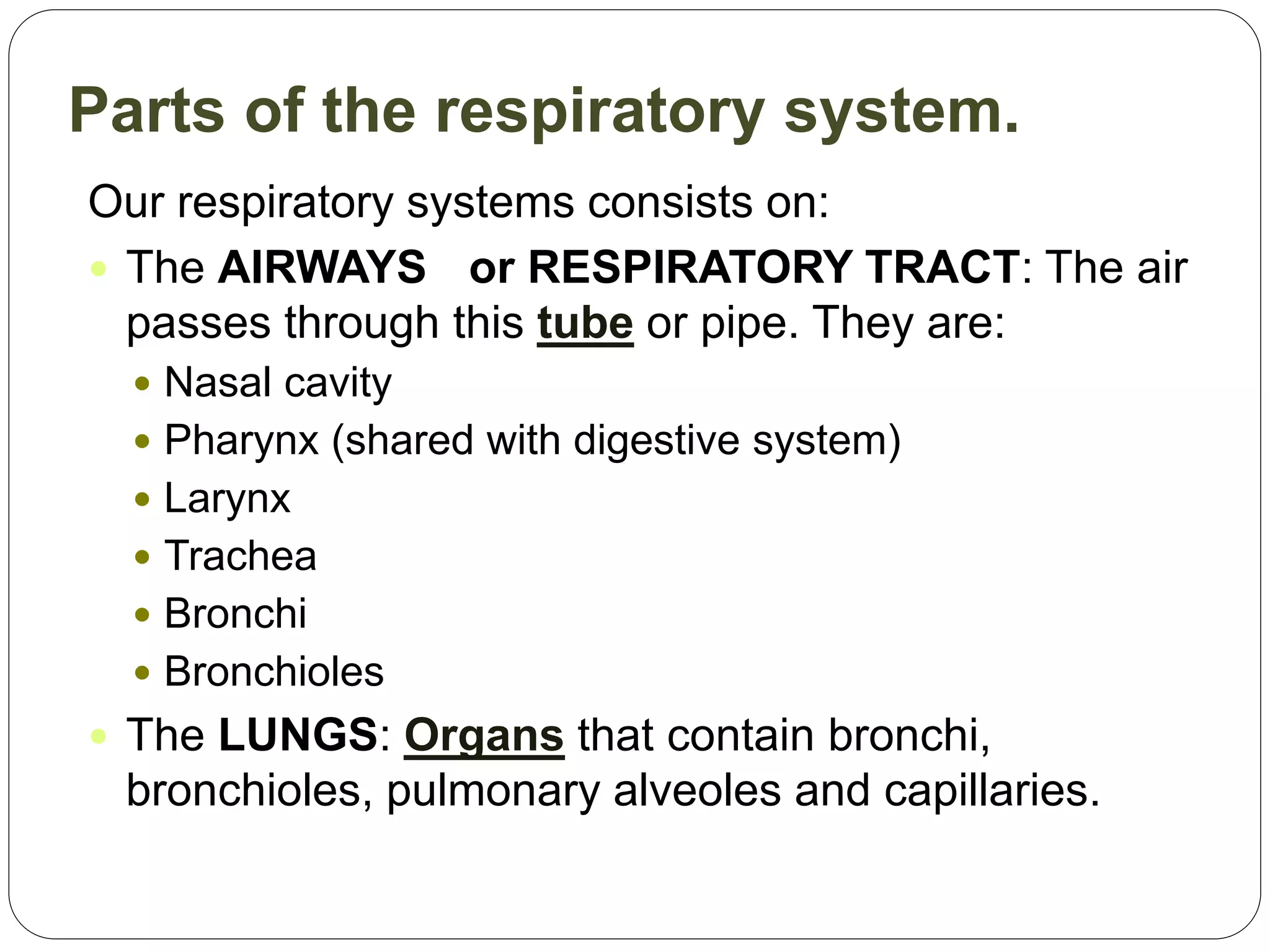 Nutrition function I: The respiratory system. | PPTX