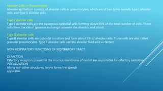 RESPIRATORY SYSTEM_-161584142.pptx