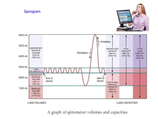 Respiratory system | PPT