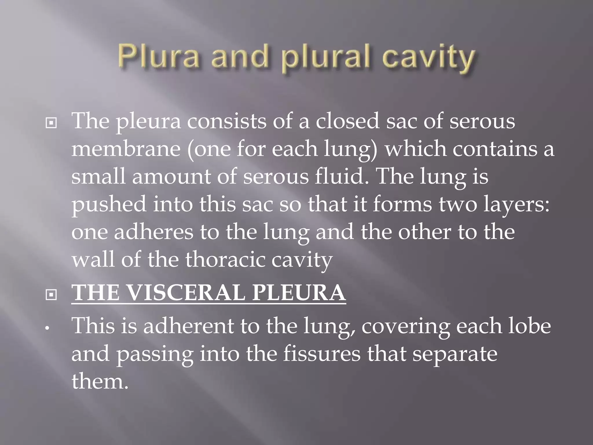 Respiratory system | PPTX