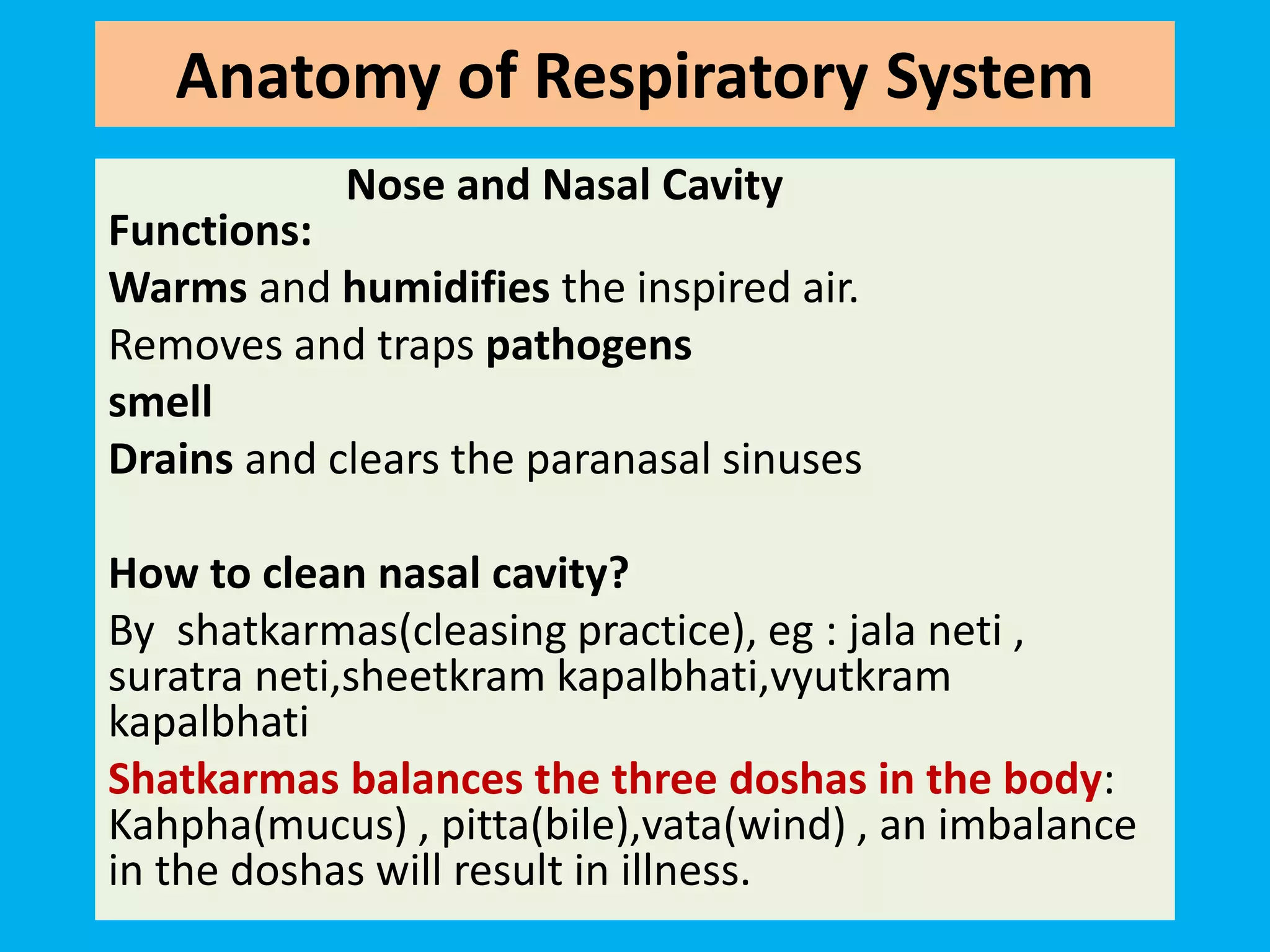 Yoga Anatomy of Respiratory System | 200 Hrs Yoga TTC in Rishikesh | PPTX